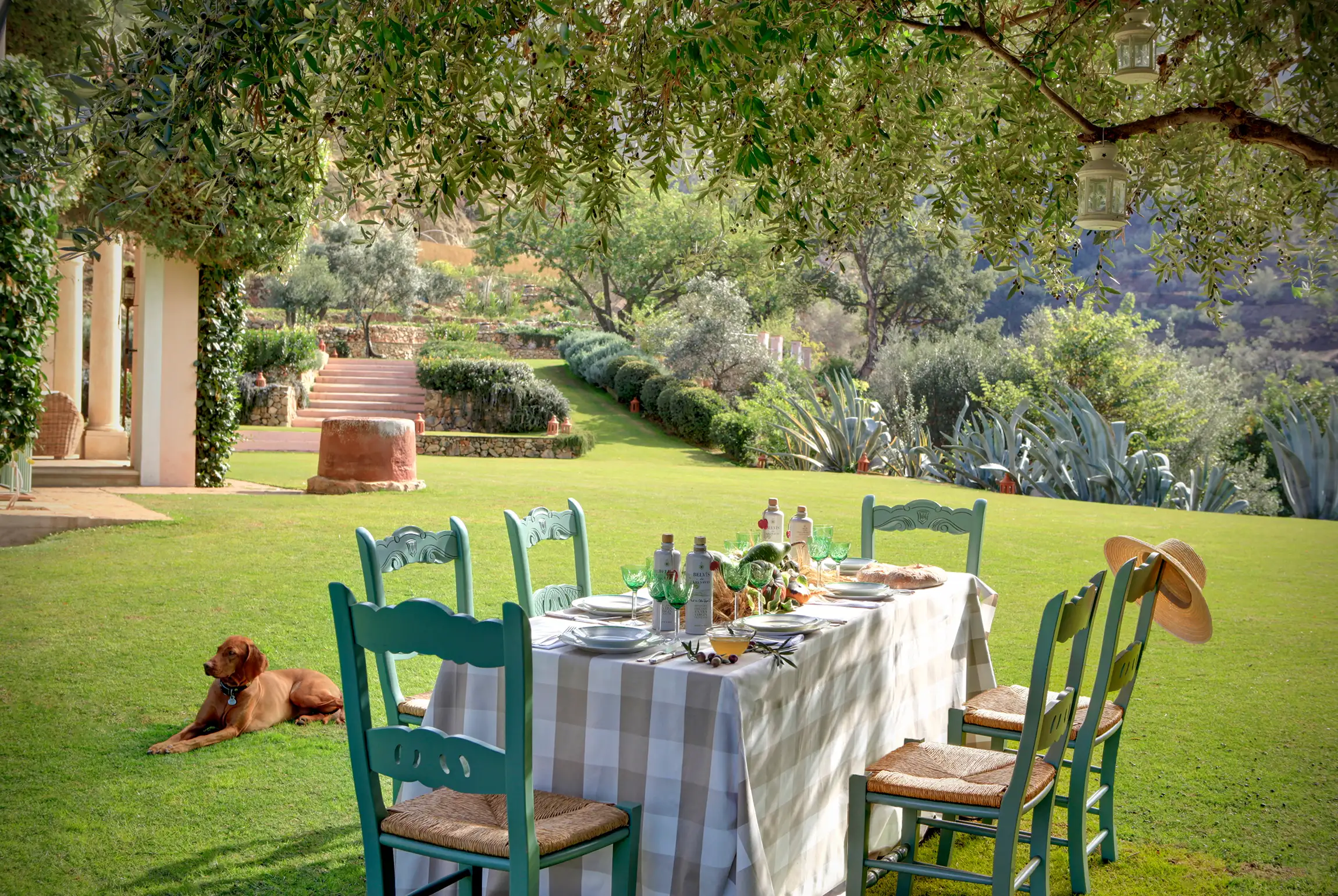 La Historia - Belvis de las Navas